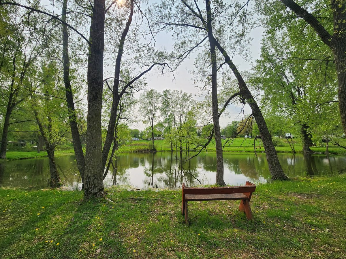 pond bench - The Playful Goose Campground